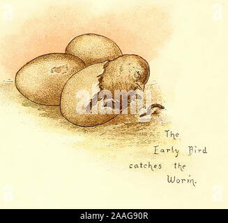 the early bird Stock Photo - Alamy