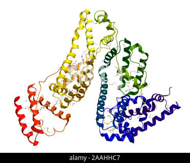 Human serum albumin protein, 3D rendering. Cartoon representatio Stock ...