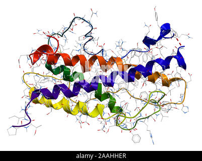 Human growth hormone somatotropin protein molecule 3D render chemical ...