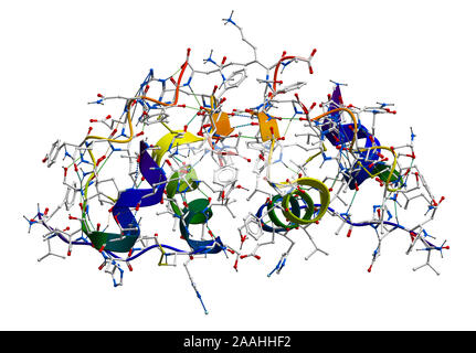 Chemical structure of a human insulin molecule. Insulin is a peptide ...