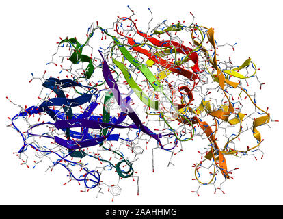 Pepsin stomach enzyme, molecular model. Pepsin is a protease enzyme ...