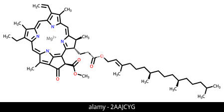 Molecule of Chlorophyll Stock Photo - Alamy