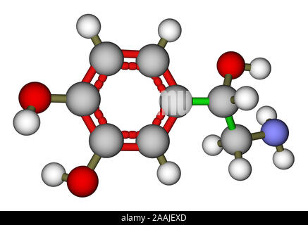 Norepinephrine. Molecular model of the hormone and neurotransmitter ...