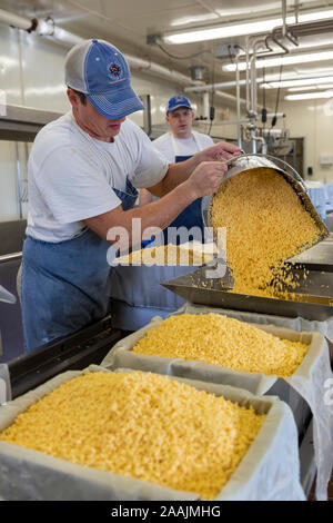 Auroraville, Wisconsin - Master cheesemaker Jon Metzig makes colby ...