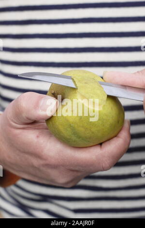 Ribston Pippin apples Stock Photo - Alamy