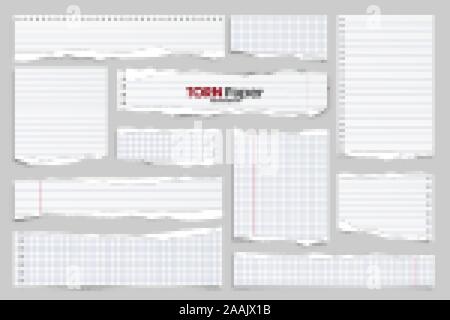 White ripped lined paper strips collection. Realistic paper scraps with ...