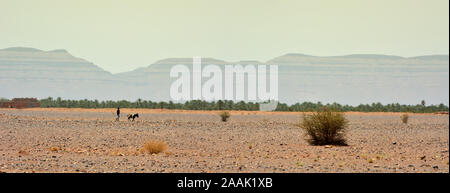 The hamada desert near Ouarzazate. Morocco Stock Photo - Alamy