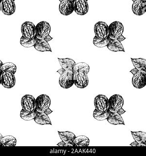 Hand drawn sketch style walnuts illustrations. Illustration in vintage ...