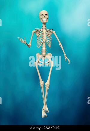 Illustration of skeleton standing Stock Photo - Alamy