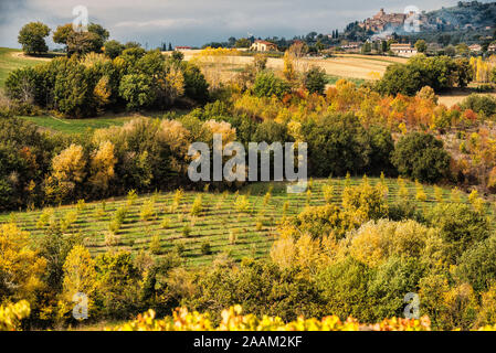 Autumn landscape in the Umbrian countryside, Italy Stock Photo - Alamy