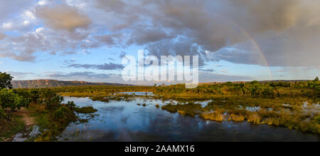Nature, Brazilian cerrado savanna landscape and vegetation, cerrado ...