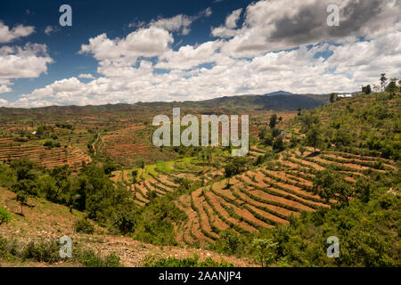 Ethiopia, South Omo, Weito, agricultural terraces on hillside by Konso ...