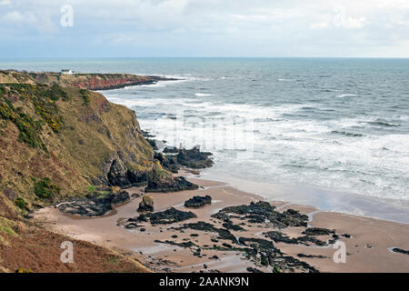 Elevated view of Beach St Cyrus Nature Reserve Scotland January 2015 ...