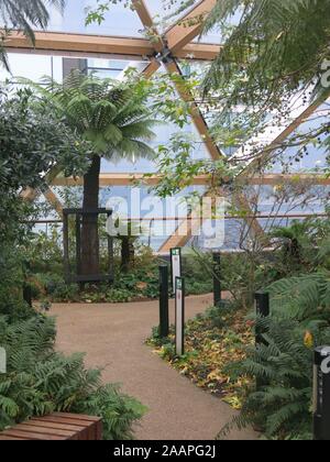 Canary Wharf tropical roof garden an oasis of calm above cross rail station designed by Sir ...