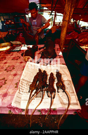 Indonesia. Sulawesi. Tomoho. Meat market traders and bush meat. Roasted ...