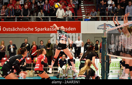 Dresden, Germany. 23rd Nov, 2019. Volleyball, women: DVV Cup, Dresdner ...