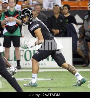 November 23, 2019 - Hawaii Rainbow Warriors wide receiver Jason-Matthew ...
