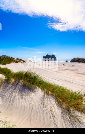 Beach view of the Archway Islands with sand dunes at Wharariki beach, Puponga, South Island of ...