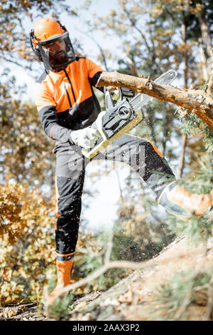 Man cutting branches from conifer tree with chainsaw, Briarwood Banks ...