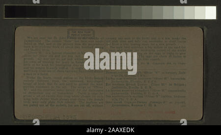 Famous trotting ostrich 'Oliver W.' -- harnessed for a spin -- record ...