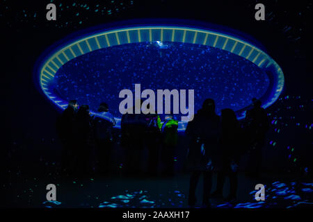 Big aquarium with jellyfish or meduses in the neon light in new opened ...
