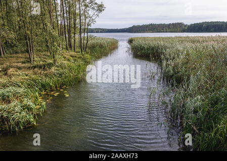 Canal between Wielkie Parteczyny Lake (on photo) and Debno Lake in ...