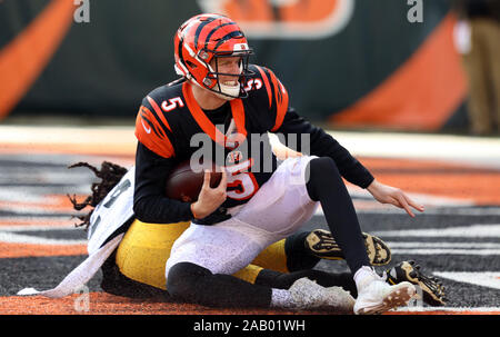 Cincinnati Bengals quarterback Ryan Finley practices before an NFL ...