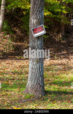 No entry sign nailed to a tree in the woods denoting private property ...