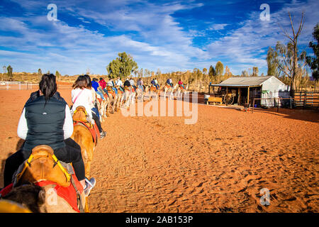 Camel sunset tour leaves the camel farm heading for the red sand dunes ...
