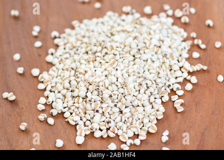 Adlay millet or pearl millet white Job's tears on bowl / Coix Lachrymal ...