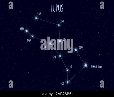 Star constellation Lupus vector illustration Stock Vector Image & Art ...