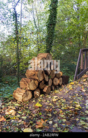 ceppi di tronco accatastati sul bordo del ruscello Stock Photo - Alamy