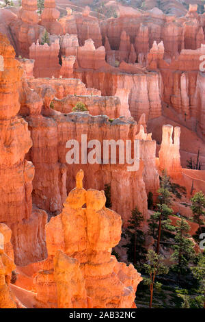 Geographie, Bryce Canyon NP, Utah, USA, Nationalpark, Erosion ...