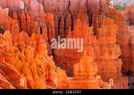 Geographie, Bryce Canyon NP, Utah, USA, Nationalpark, Erosion ...
