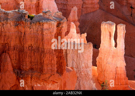 Geographie, Bryce Canyon NP, Utah, USA, Nationalpark, Erosion ...