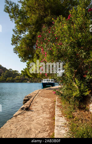 Beautiful view of the water surrounding the island with trees on a ...