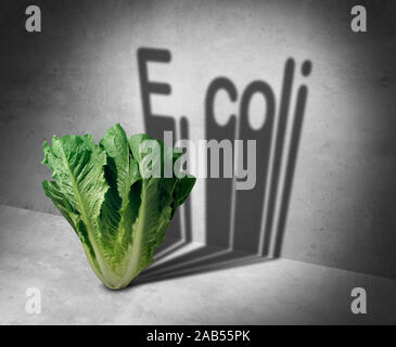 Romaine lettuce e coli outbreak food poisoning as a vegetable ...