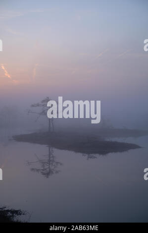 Crisp spring morning in bog Stock Photo - Alamy