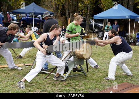 Two men sawing wood Stock Photo - Alamy