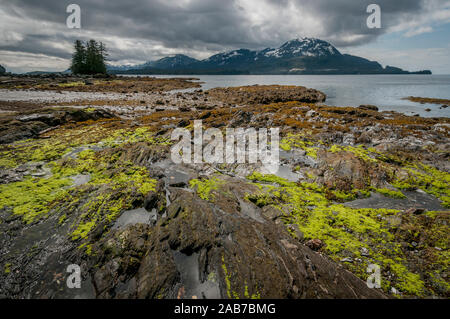 Landscape showing intertidal zone of Rotary Beach, Revillagigedo ...
