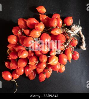 Tomato sauce with tomatoes of piennolo of Vesuvius, Naples Stock Photo ...
