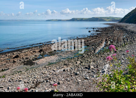 Peppercombe Beach. South west coast path. North Devon. West country ...