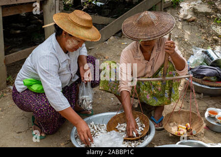 Female fishmonger in traditional conical Asian hat & sarong prepares ...