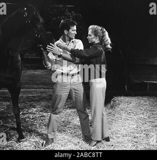 APRIL LOVE 1957 20th Century Fox film with Pat Boone Stock Photo - Alamy