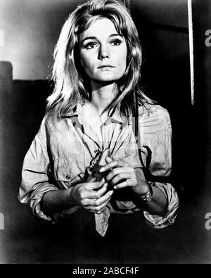 DARK OF THE SUN, (aka THE MERCENARIES), Yvette Mimieux, 1968 Stock ...