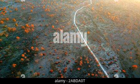 Aerial view of the trees in Heshuo county, Bayingol Mongolian ...