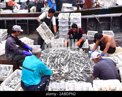 Fishermen categorize numerous seafoods in order and wait for consumers ...