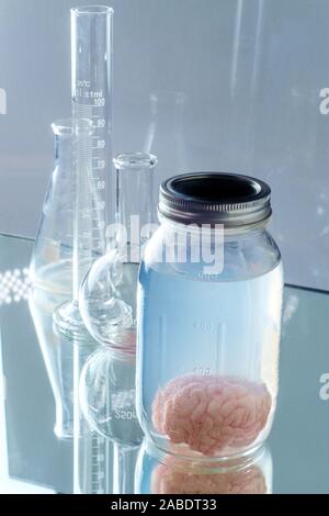 Human brain preserved in formaldehyde for science experiments and ...