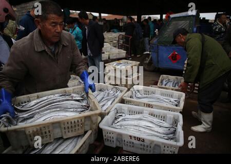 Fishermen categorize numerous seafoods in order and wait for consumers ...