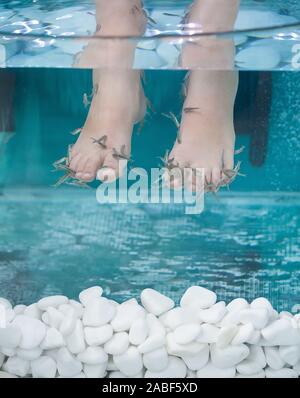 woman receiving massage with small fishes. Peeling with fish. Girl ...